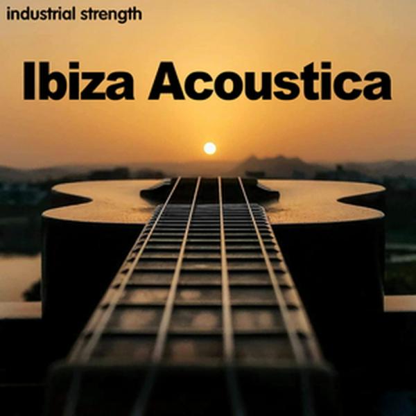 メロウな夏のフィーリングを感じさせるチルとダウンテンポのサンプルパック『IBIZA ACOUSTICA』は、太陽が降り注ぐ一日の後にビーチでカクテルを飲むようなメロウな夏のムードを演出する、アコースティックギター、ドラム、ベース、キーなど8...