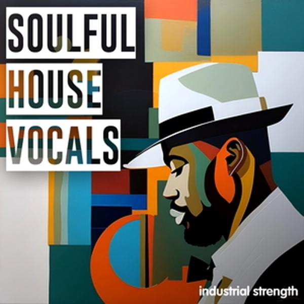 ハウスミュージックの境界を再定義するユニークなボーカルパック『ISR - SOULFUL HOUSE VOCALS』は、ハウスミュージックの境界を再定義するユニークなボーカルパックです。トリッピーでエクスペリメンタルなサウンドと先進的なプロ...