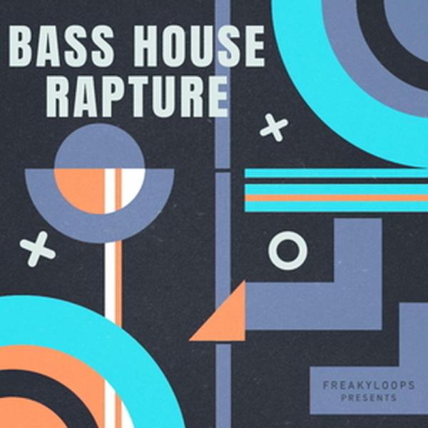 フェスのダンスフロアを揺るがすハイエナジーなベースハウスサウンドを収録『BASS HOUSE RAPTURE』は、フェスのダンスフロアを揺るがすハイエナジーなベースハウスサウンドを収録したサンプルパックです。本製品には、雷鳴のようなベース、...