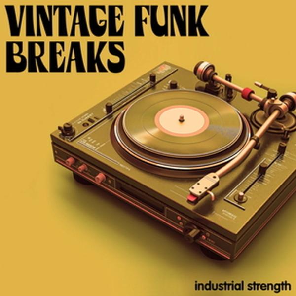70sファンクにインスパイアされたキャッチーでソウルフル、そしてヴィンテージなサウンドを収録『VINTAGE FUNK BREAKS』は、70年代のファンクにインスパイアされたキャッチーでソウルフル、そしてヴィンテージなサウンドが収録された...