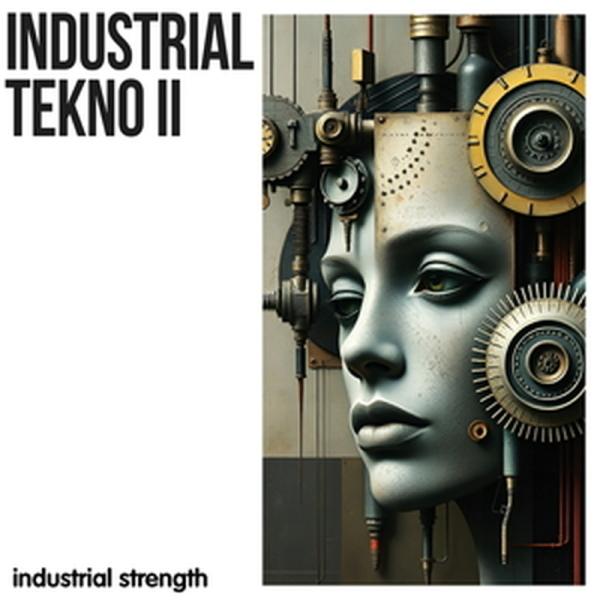 ハードテクノやEBMなどのパワフルなエレクトロニックミュージックに適したサウンドを収録『INDUSTRIAL TEKNO 2』は、ハードテクノやEBMなどのパワフルなエレクトロニックミュージックに適したサウンドを収録したサンプルパックです。...