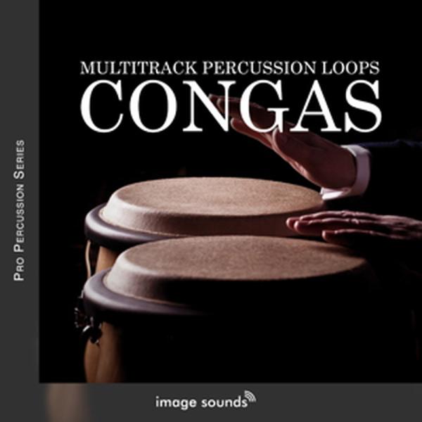 プロのパーカッショニストが演奏したコンガのグルーブとフィル等を収録『CONGAS』は、プロのパーカッショニストが演奏した、コンガのグルーブとフィル等を収録したサンプルパックです。本作はダイレクトマイク、オーバーヘッドマイク、ルームマイクの3...