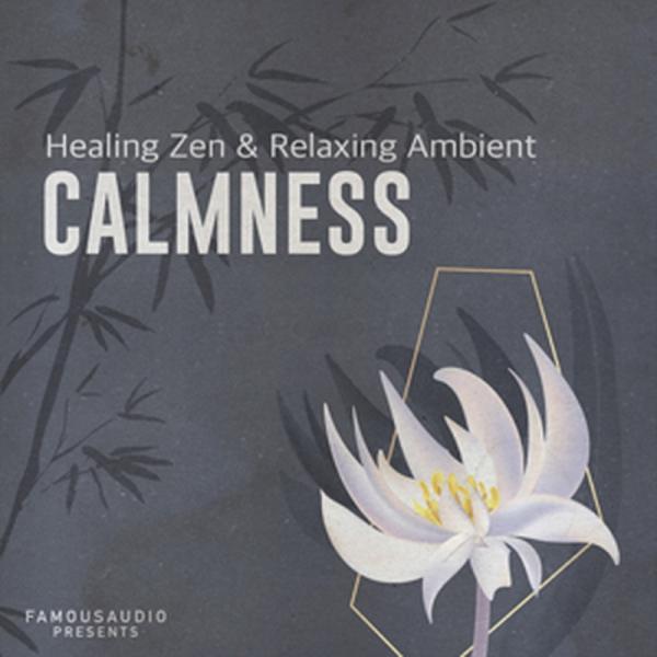 シネマティック向けのリラックスできるムードを持ったサウンドを収録『CALMNESS - HEALING ZEN &amp; RELAXING AMBIENT』はシネマティック向けのリラックスできるムードを持ったサウンドを含んだサンプルパック...