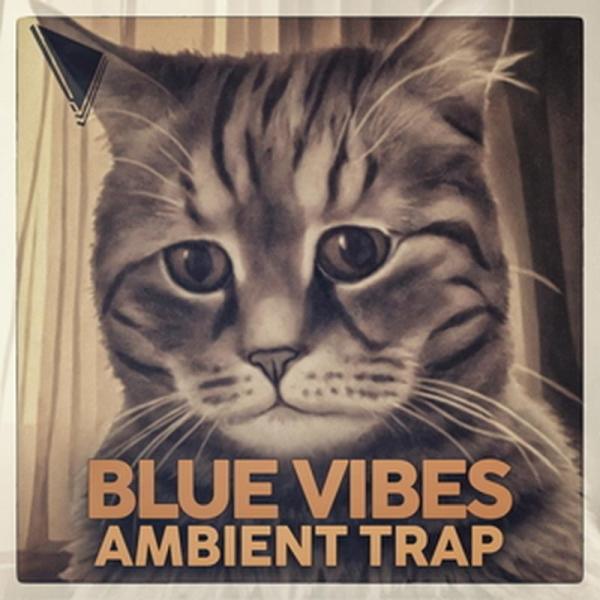 深い無気力と絶望の感情を吹き込む、メランコリックなアンビエントサンプルパック！『BLUE VIBES - AMBIENT TRAP』は、深い無気力と絶望の感情を吹き込む、メランコリックなアンビエントサンプルパックです。音楽の中に溶け込む繊細...