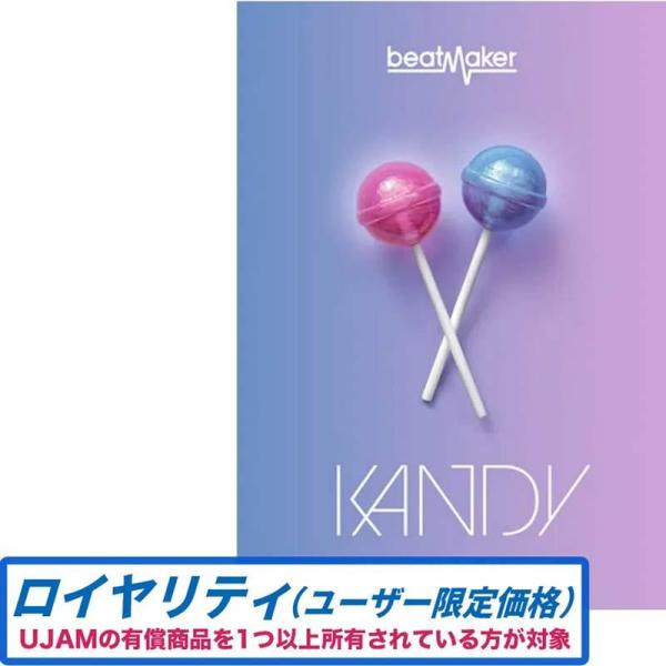 ヒット曲を創り出す甘く尖った音色のビート！-----------★本製品はロイヤリティ版です。UJAM有償製品を1点でもお持ちの方であれば、本製品をご購入いただけます。UJAM有償製品をお待ちでない場合、本商品のみを購入してもご利用いただけ...