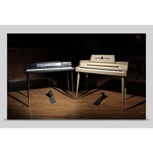 エレクトリックピアノの旋風！◆Electric Keys ? MoonshellElectric Keys - Moonshellは、温かみのあるソウルフルなサウンドを持つ、ヴィンテージのチューブ式リードピアノを忠実に再現。豊かでオーガニッ...