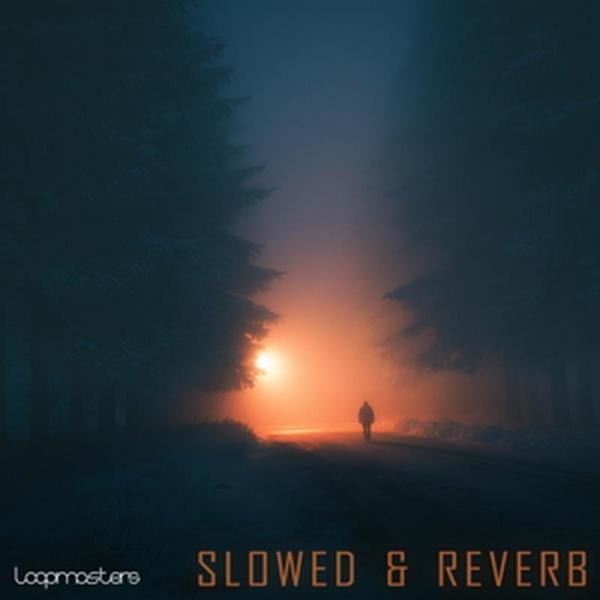 「slowed + reverb」の影響を受けた、ストレッチやリバーブが施されたドリーミーなサウンドを収録！『Slowed &amp; Reverb』は、その名の通り、リミックスカルチャーのひとつ「slowed + reverb」の影響を強...