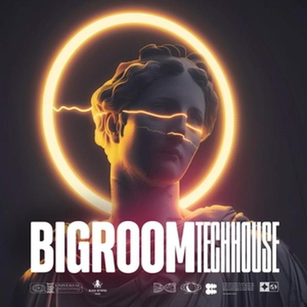 大箱系テックハウスなど、メインステージ向けのトラックに適したサウンドを収録！『Big Room Tech House』は、大箱系を意識したTech Houseなど、強力なリズムとエネルギーが求められるクラブジャンルに適したサンプルパックです...
