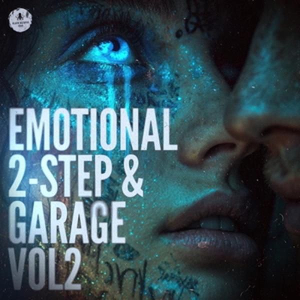 2 Step、ガラージ、ハウスに適したエモーショナルかつエネルギッシュなサウンド集第2弾！『Emotional 2-Step &amp; Garage Vol 2』は、Future Garage、2 Step、Chill UK Bass、A...