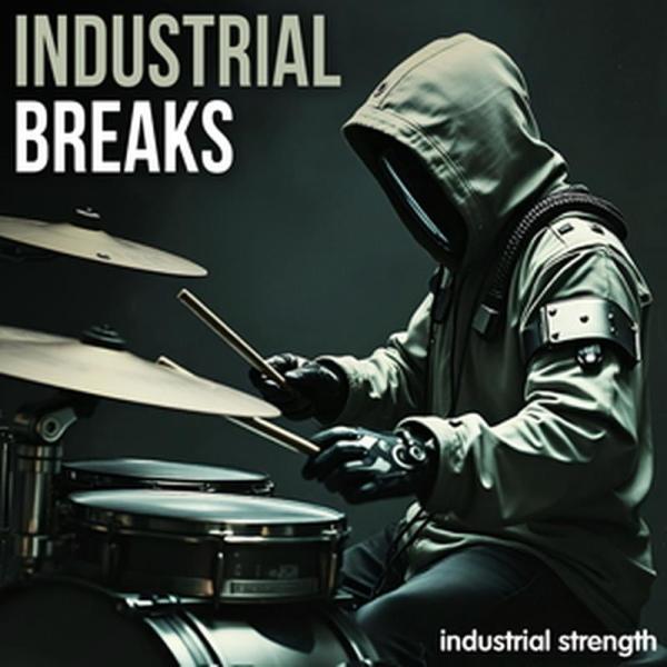 歪み、崩壊、ノイズ――音を破壊し創造する、ハードダンスのサンプルパック！『Industrial Breaks』は、インダストリアルブレイク特有の強烈で荒々しいサウンドを凝縮したサンプルパックです。攻撃的でエッジの効いたサウンドデザインをテー...
