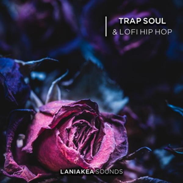 ダスティーな雰囲気の、トラップやヒップホップに適したサンプルパック！『Trap Soul &amp; Lofi Hip Hop』は、TrapやHip Hopに適したサンプルパックです。TrapとLofi Electronicaを融合したダス...