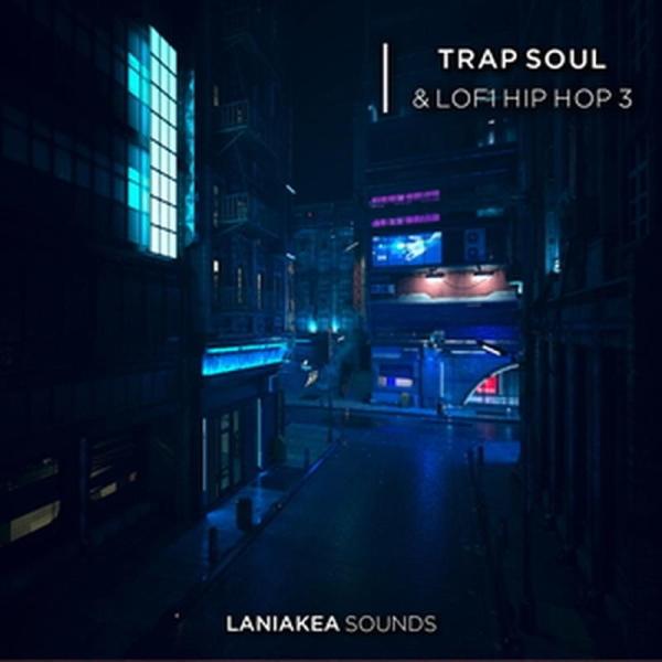 トラップ、ヒップホップ向けの、メロディックでグルーヴ感のあるサウンドを収録！『Trap Soul &amp; Lofi Hip Hop 3』は、Trap、Hip Hop、RnB、New School、Future Soulなどに適したサンプ...