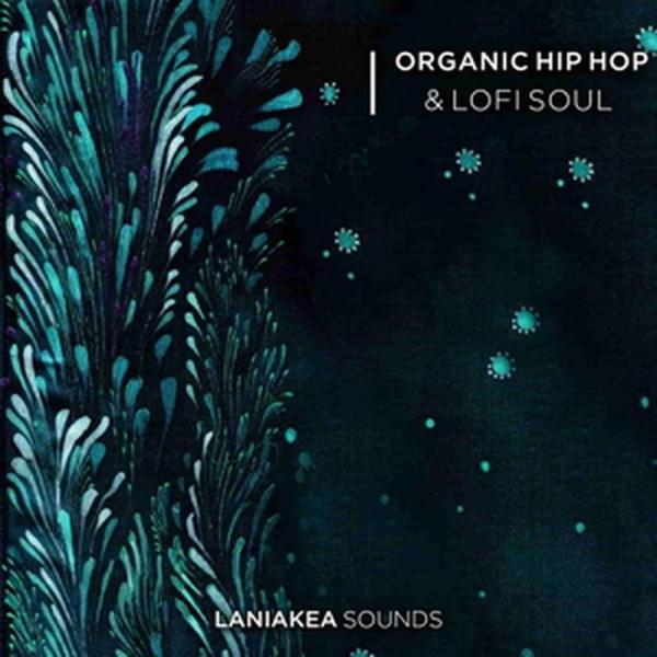 オーガニックな質感の、ヒップホップやソウルに適したサンプルパック！『Organic Hip Hop &amp; Lofi Soul』は、ヒップホップやソウルに適したサンプルパックです。ローファイでオーガニックな質感を持つビートやミュージック...