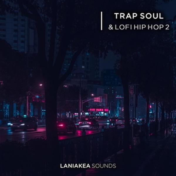 トラップ、ヒップホップ等に適したメロディックでグルーヴィーなサウンドを収録！『Trap Soul &amp; Lofi Hip Hop 2』は、トラップ、ヒップホップ、RnB、ニュースクール、フューチャーソウルなどに適した、メロディックでア...