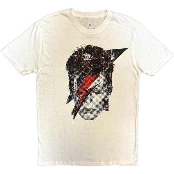 David Bowie デヴィッド・ボウイイングランド出身のロックミュージシャン、シンガーソングライター、俳優。グラムロックの先駆者として台頭し、ポピュラー音楽の分野で世界的名声を得た。役者の世界にも進出し、数々の受賞実績を持つマルチ・アー...
