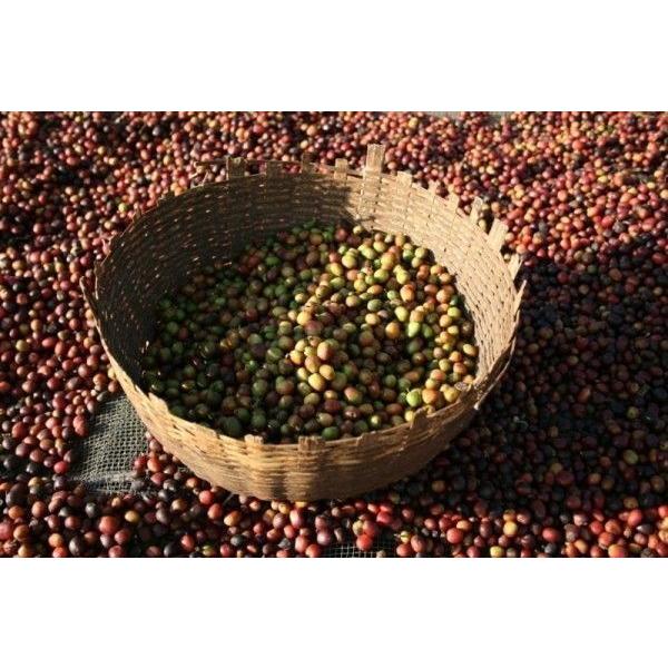 焙煎：フレンチロースト（深煎り・しっかりとしたコクと苦味）内容量：200gレーズンやベリー系の果実感ある香味を残しつつしっかりとしたコクも感じる。【Cup Impression】レーズンベリーベルガモット珈琲家あのころが品質にこだわって厳選...