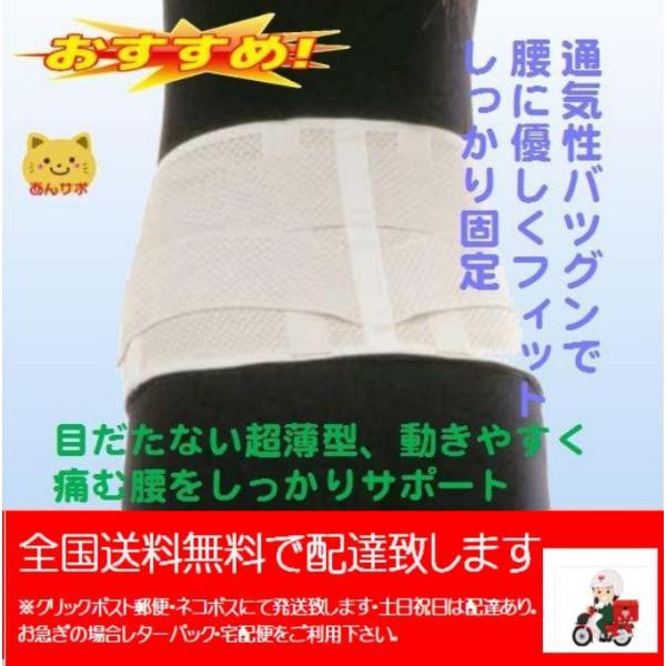 暑い時でもむれにくく通気性バツグンで腰にやさしくフィットしっかり固定。三菱レーヨンの高機能複合せんい「ルネスアルファ」を使用し吸湿発熱効果を高め、マイナスイオン効果で静電気を抑止し快適なつけごこちをお約束します。めだたない超薄型、厚ぼったさ...