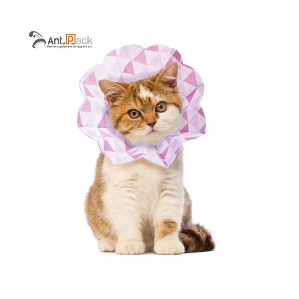 ペットのためのキュートな味方、エリザベスカラー「erico」。傷口をなめることで傷を悪化させることを防ぐ為のペット専用保護具。3種類の大きさからペットに合ったサイズを選べます。取り付け、取り外しも簡単。家族を守るキュートなペットアイテムです...