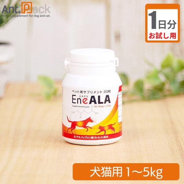 世界で初めて5-ALA（5-アミノレブリン酸）を配合した犬猫用サプリメントです。体内で不足しがちな5-ALAを補充することで、健康維持をサポートします。こちらの商品の詳細情報は商品説明に記載しています。