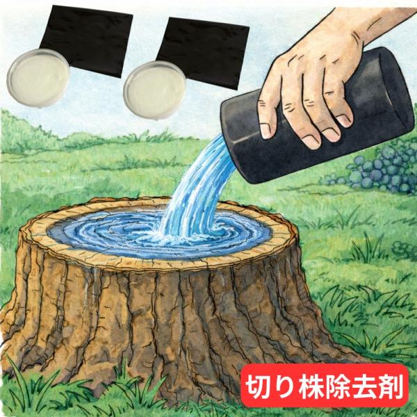 【製品特徴】掘らずに処理できる！簡単切り株除去剤［本品1個で直径約45cmまでの幹の処理が可能となります］切り株は見た目を損ねるだけでなく、撤去には大きな手間と労力がかかります。特に根が深く張った切り株は、スコップや重機を使っても簡単には掘...