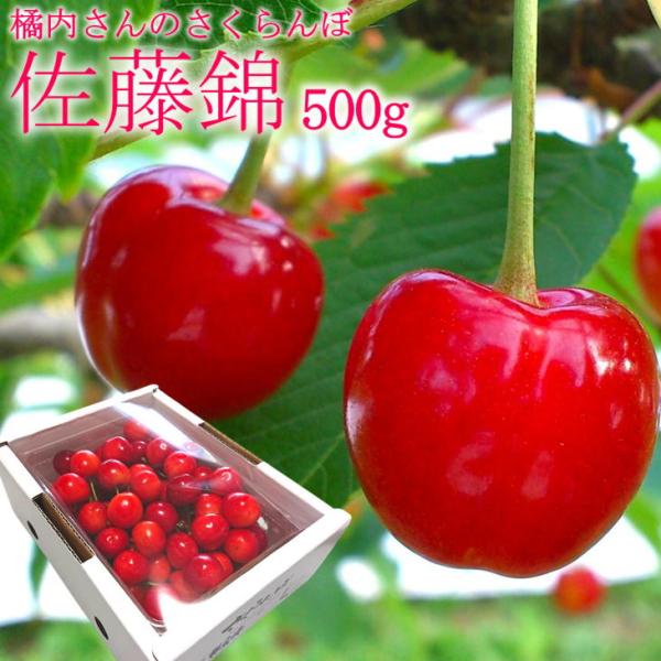 【製品特徴】福島県・飯坂地区で丹精込めて育てられた極上の味をお届け！ 標高が高く寒暖差の大きい福島・飯坂地区。この恵まれた環境で、果樹農家・橘内（きつない）さんが露地栽培で大切に育てた「佐藤錦」を、樹上で完熟させてから収穫し、新鮮なままお届...