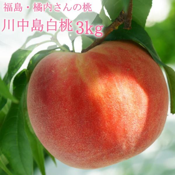 【福島・飯坂産】果樹園きつないの桃初夏限定の味わい フルーツ王国・福島県の中でも、標高が高く昼夜の寒暖差が大きい「飯坂町」で栽培された桃です。 農薬の使用を可能な限り抑えて栽培、自然の力を活かして育てました。 東北の桃シーズンを締めくくる最...