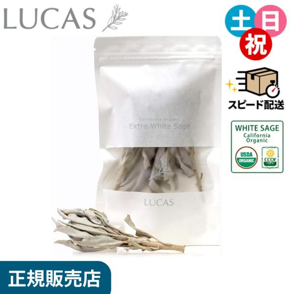 LUCASは実用新案登録済み商品です。 類似品にご注意ください。実用新案登録　第3209213号立派な枝ぶりの物や少し細い枝、色が違うものなど、個性が様々。有機栽培で自然に近い状態で育てられた特性としてお楽しみください。また、枝付きのセージ...