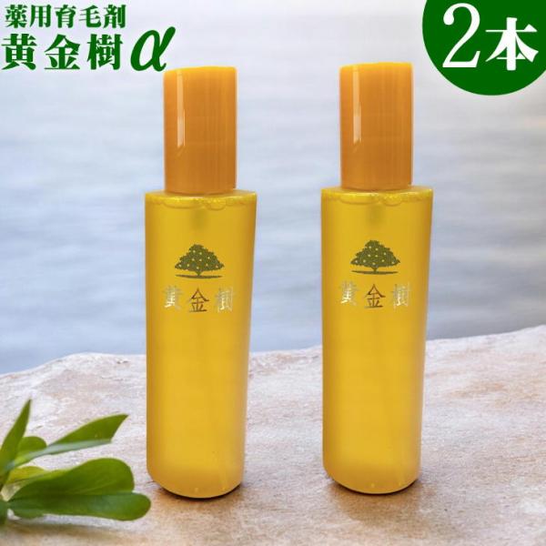 【製品特徴】・天然柑橘エキスを40％配合。・「黄金樹」は、有効成分である「センブリ」・「ニンジン」・「グリチルリチン酸ジカリウム」をベースに「頭皮の保湿」という点に着目し、頭皮に適度な潤いを与えながら、有効成分の毛根部への浸透をより促すとい...
