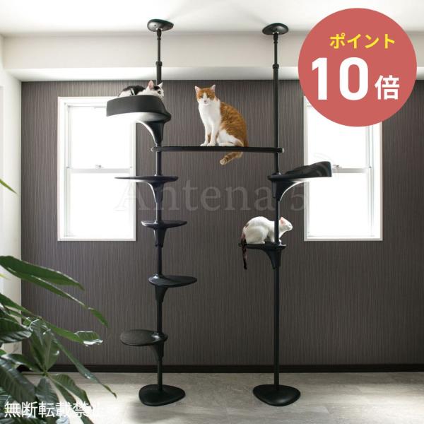 美しい、最高級のツリー型の遊具猫の森をイメージした突っ張り式ツリー型の遊具です。ミリ単位での調節が可能で、仔猫、成猫、シニア期など、猫の運動量や好み、ライフステージに合わせてちょうどいい位置や向きにステップを設置することができます。別売りの...