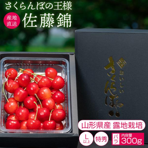 【発売日：2026年06月15日】【さくらんぼの王様『佐藤錦』とは？】鮮やかで濃い赤と宝石のようなツヤはルビーのように美しく、口いっぱいにひろがるジューシーな果汁、濃い甘さとほどよい酸味のバランスは絶妙で、まさに最高級品種と言われる所以です...