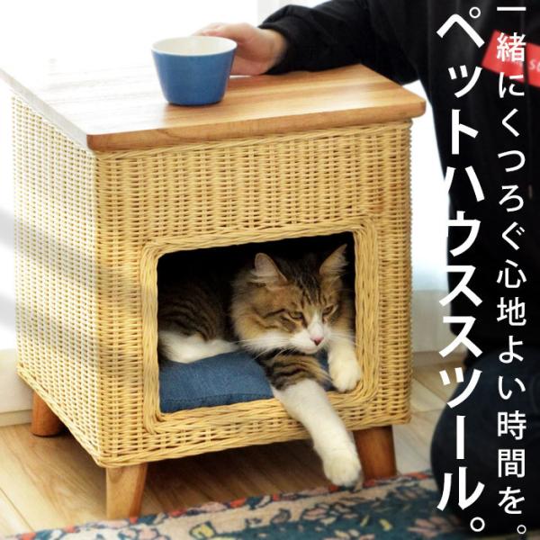 ×メール便不可！※詳細をPCサイトよりご購入前にご確認下さいませ。天然木天板とラタン調デザインを組み合わせた猫用ペットハウス兼スツールで、内部にクッションが付き天板は開閉式、座れる強度も備えた家具です。