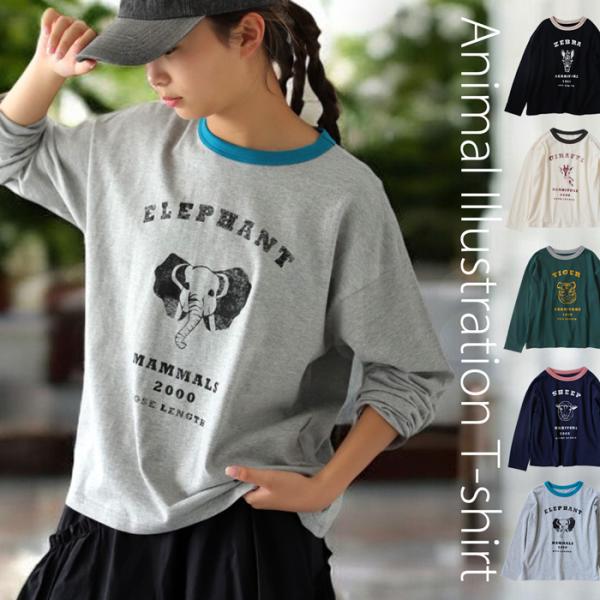 ◎メール便可！※詳細をPCサイトよりご購入前にご確認下さいませ。【検索ワード】アニマルカレッジ 長袖 ロンT ロゴT 綿100 子供服 ジュニア バスク Tシャツ カットソー 丸首 ロゴ アニマル 象 キリン ライオン 羊 シマウマ トラ ...