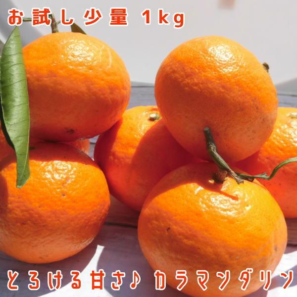 名称　ご家庭用カラマンダリン1ｋｇ（6，7個前後）原産地　和歌山県保存方法　冷暗所で保存して下さい。商品説明　サイズ混合・傷ありのご家庭用です。見た目は悪くてもお味は秀品のものと変わりません♪少量をお試ししたい方に(*^-^*)★とにかく濃...