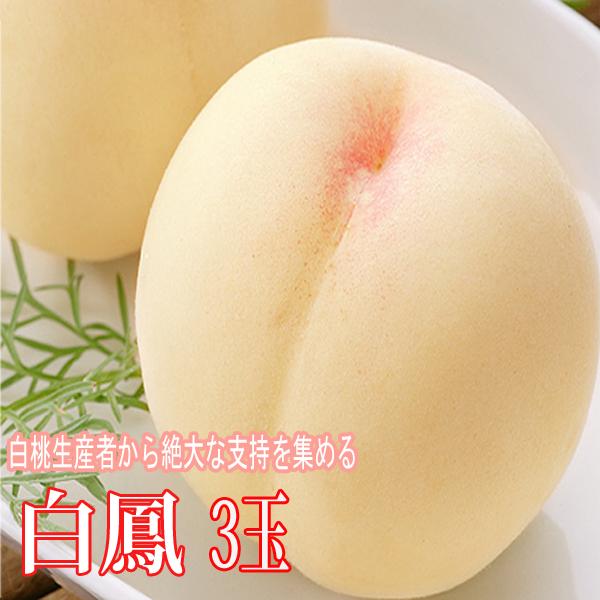 ◇商品名白鳳◇産地岡山産◇内容量3玉入り☆発送時期☆7月上中旬頃よりご注文順に順次発送予定※天候により発送時期が前後する場合が御座います。