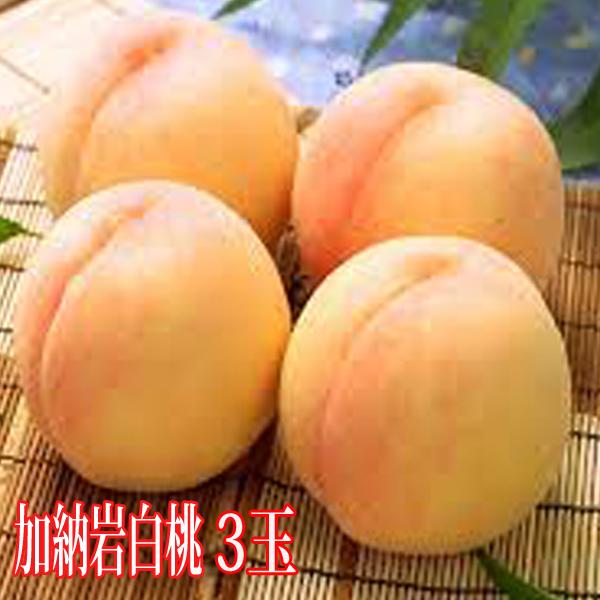 ◇商品名加納岩白桃◇産地岡山産◇内容量3玉☆発送時期☆7月上旬頃よりご注文順に順次発送予定※天候により発送時期が前後する場合が御座います。