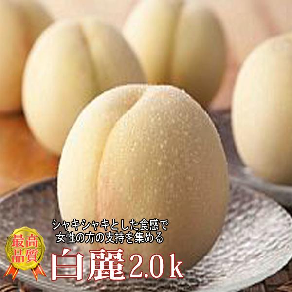 ◇商品名白麗◇産地岡山産◇内容量約2K6〜8玉入り☆発送時期☆8月上中旬頃よりご注文順に順次発送予定※天候により発送時期が前後する場合が御座います。