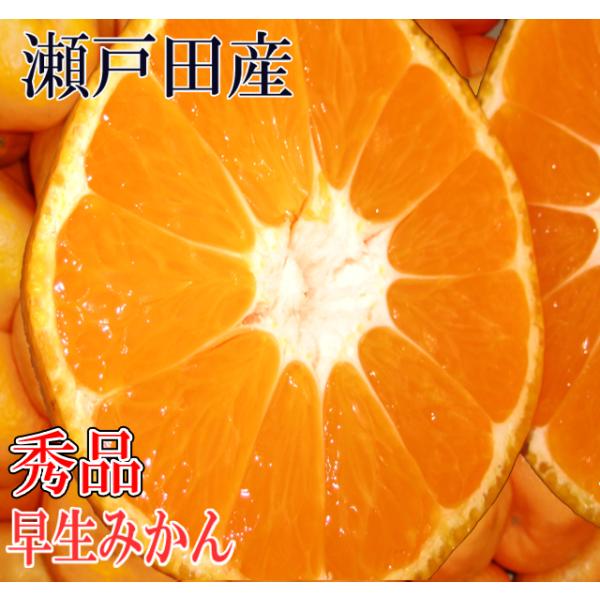 ◇商品名秀品　早生みかん◇産地広島県尾道瀬戸田産◇内容量約5KサイズはS〜L混合となります。☆発送時期☆■11月下旬頃よりご注文順に順次発送予定※天候により発送時期が前後する場合が御座います。