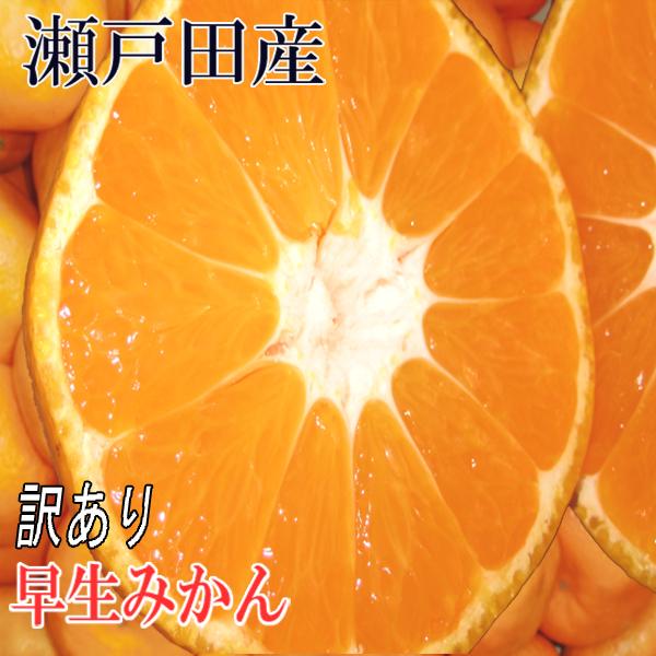 ◇商品名訳あり早生みかん◇産地広島県尾道瀬戸田産◇内容量約5KサイズはＳＳ〜３Ｌの混合となります。☆発送時期☆■11月下旬頃よりご注文順に順次発送予定※天候により発送時期が前後する場合が御座います。