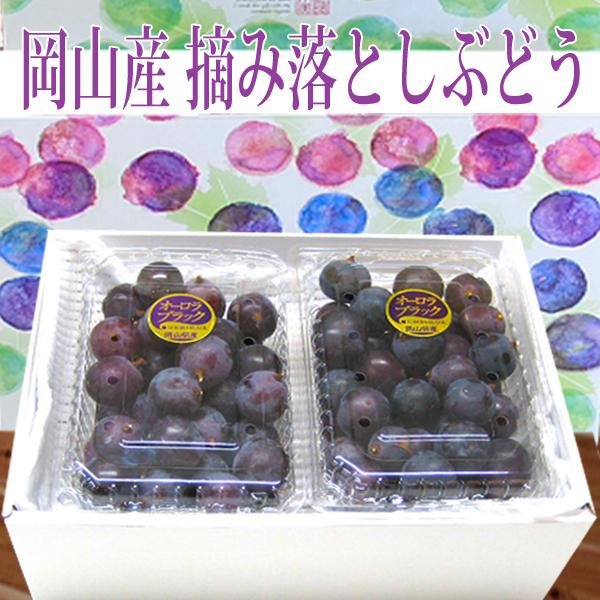 ◇商品名摘み落としぶどう・オーロラブラック◇産地岡山産◇内容量■2パックセット(1パック：約900g)☆発送時期☆8月下旬頃よりご注文順に順次発送予定！※天候により発送時期が前後する場合が御座います。