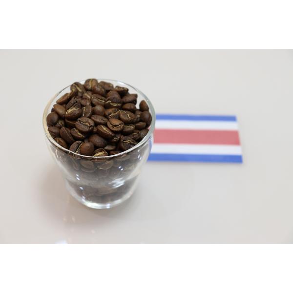 国名：コスタリカ商品名：エルマノス　バルソ精製方法：ホワイトハニーROAST LEVEL：浅煎り栽培エリア：Dota,Santa Maria,Tarrazu農園名：バラブランカ農園標高：1800〜1900m品種：Milenio種コスタリカの...
