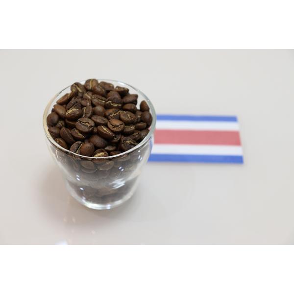 国名：コスタリカ商品名：エルマノス　バルソ精製方法：ホワイトハニーROAST LEVEL：浅煎り栽培エリア：Dota,Santa Maria,Tarrazu農園名：バラブランカ農園標高：1800〜1900m品種：Milenio種コスタリカの...
