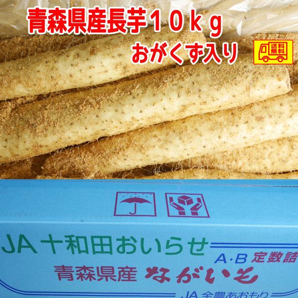青森県産　長芋　ながいも M-４L　１０ｋｇ　洗浄済み　おがくず入りになります。青森県の長芋は全国でも生産量はトップクラスです。厳しい自然環境のなかで育つ管内のナガイモは、味も絶品。農家が大切に育て収穫したナガイモは、搬入後洗浄してから大き...