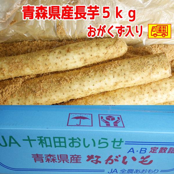 青森県産　長芋　ながいも M-４L　5ｋｇ　洗浄済み　おがくず入りになります。青森県の長芋は全国でも生産量はトップクラスです。厳しい自然環境のなかで育つ管内のナガイモは、味も絶品。農家が大切に育て収穫したナガイモは、搬入後洗浄してから大きさ...