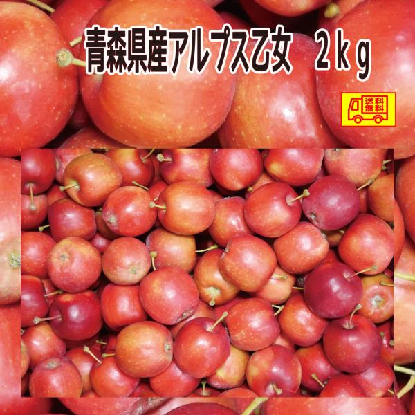 アルプス乙女は甘味の中にほどよい酸味があり、果汁も多め。 小さいながらもりんごらしい風味が味わえます。 アルプス乙女50玉前後　2ｋｇをになります。擦れ、小傷などある場合もございます。そのまま皮ごとぱくぱく食べられます。 りんご飴、サラダ、...