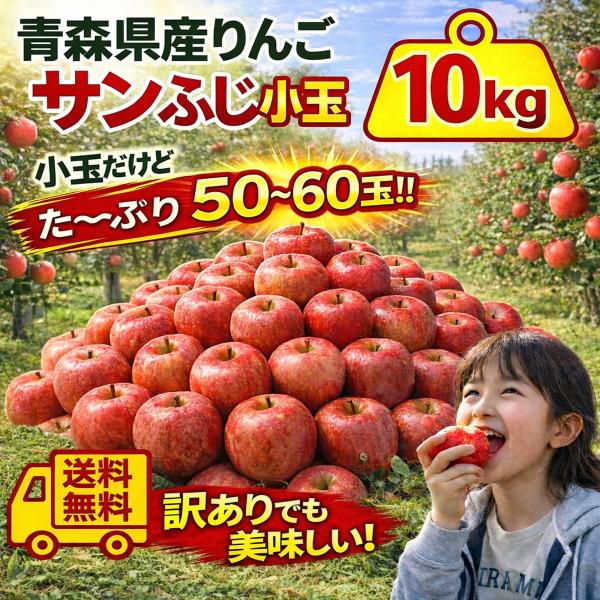青森県産りんごの人気品種「サンふじ」を、ご家庭用の訳あり品としてたっぷり10kgお届けします。小玉サイズのため46〜65玉前後入りで、食べきりやすく、毎日の朝食やおやつ、家族みんなで楽しむりんごとしてぴったりです。小ぶりだからこそ皮をむきや...