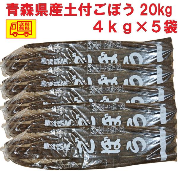 青森県産　　土付　ごぼう　L〜３L　２０ｋｇ（４ｋｇ×５袋）になります。青森県産のごぼうになります。この地域は夏場に「偏東風（ヤマセ）」とよばれる冷たい風が吹きつけ、普通であれば農産物の生産に不利な気候ですが、冷涼な気候を好むゴボウにとって...