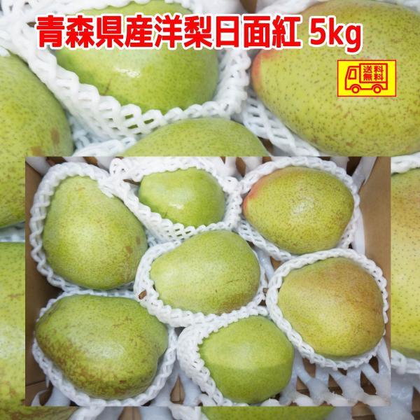 青森県産　洋梨　日面紅（ひめんこ）12~24玉程度　5kgになります。多少擦れ、傷などあるご家庭用ですがお買い得です！【洋梨：日面紅】日面紅（ひめんこ）ですが歴史は古く、1800年代初頭にベルギーで発見された品種だそうです。果実の陽光面が赤...
