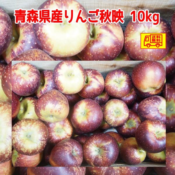 青森県産　りんご秋映（あきばえ）激レア！　訳あり40-56玉程度10ｋｇ　になります。訳ありの理由として、小傷、さび、変形、小玉などありますがご家庭用として生食いただけます。※こちらのものは、押し傷などから傷みが出る場合がございます。その場...