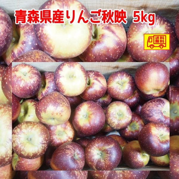 青森県産　りんご秋映（あきばえ）激レア！　訳あり40-56玉程度５ｋｇ　になります。訳ありの理由として、小傷、さび、変形、小玉などありますがご家庭用として生食いただけます。※こちらのものは、押し傷などから傷みが出る場合がございます。その場合...