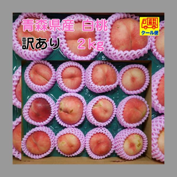 クール冷蔵便　青森県産　訳あり　白桃　6-15玉　2ｋｇ　送料無料になります。津軽の桃は、津軽地方の昼夜の寒暖差が大きい自然環境によって、果肉がしまりがあり果汁が多いです。訳ありの理由としては、枝傷、傷、変形、押し傷、小玉などあるためです。...
